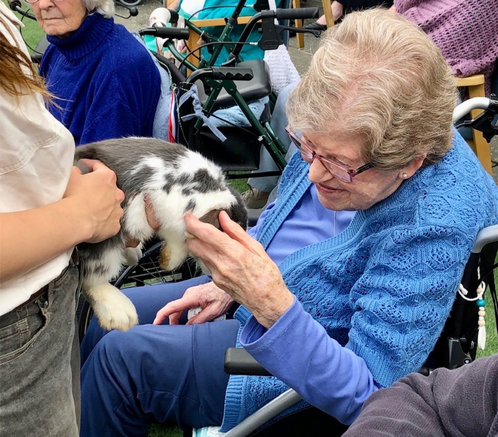 Regis Elermore Vale's Animal Farm – Regis Aged Care