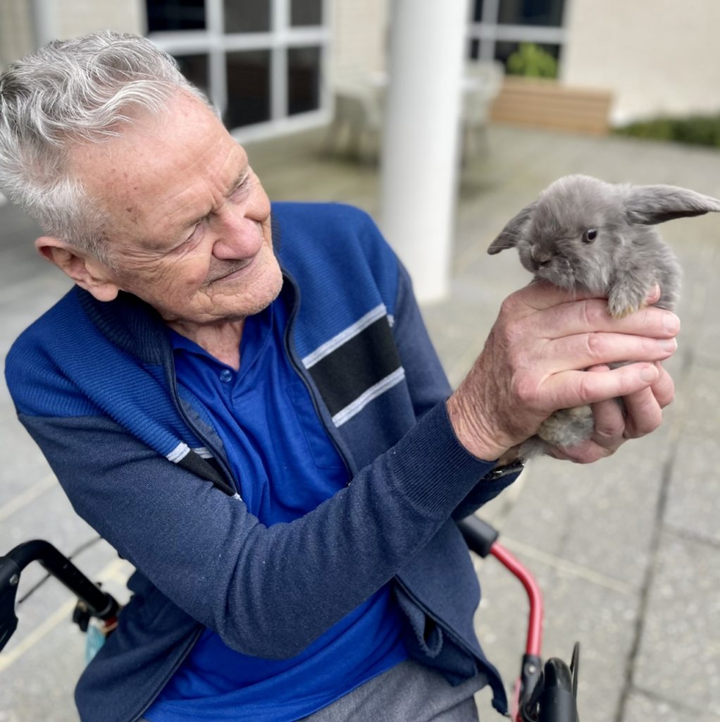 Regis Elermore Vale's Animal Farm – Regis Aged Care