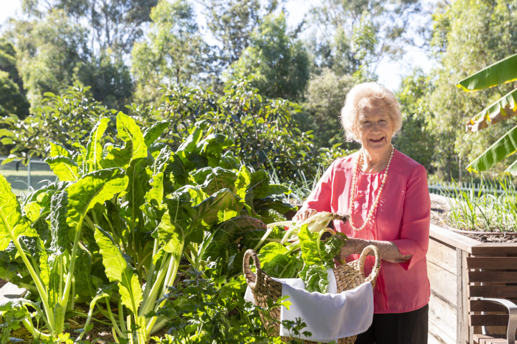 Regis Healthcare 2019 Sustainability Report Released – Regis Aged Care