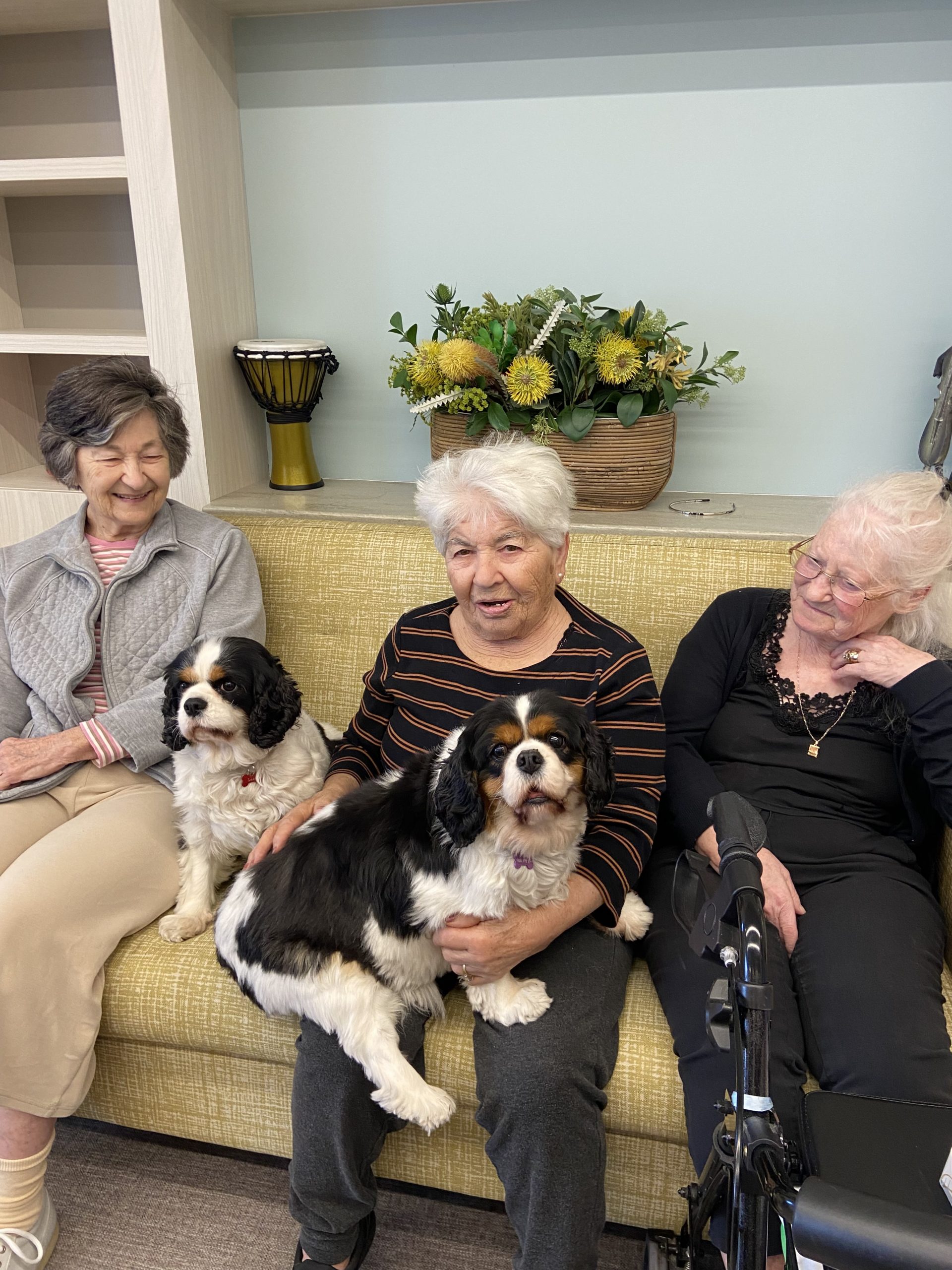 Port Coogee Cuddles – Regis Aged Care