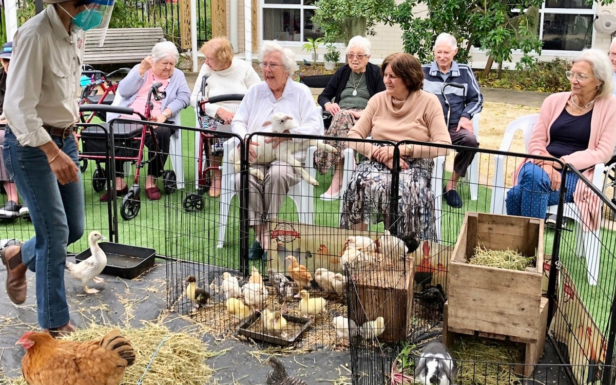 Regis Elermore Vale's Animal Farm – Regis Aged Care