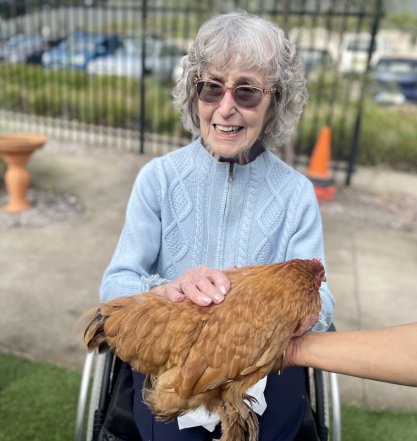 Regis Elermore Vale's Animal Farm – Regis Aged Care