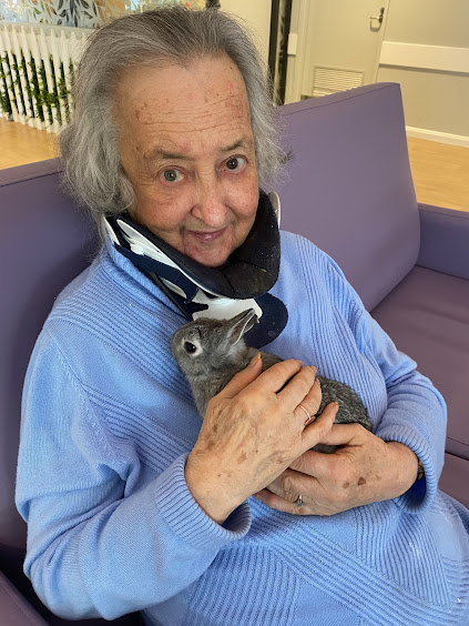 Furry Companions: How Pet Therapy is Making a Positive Impact – Regis ...